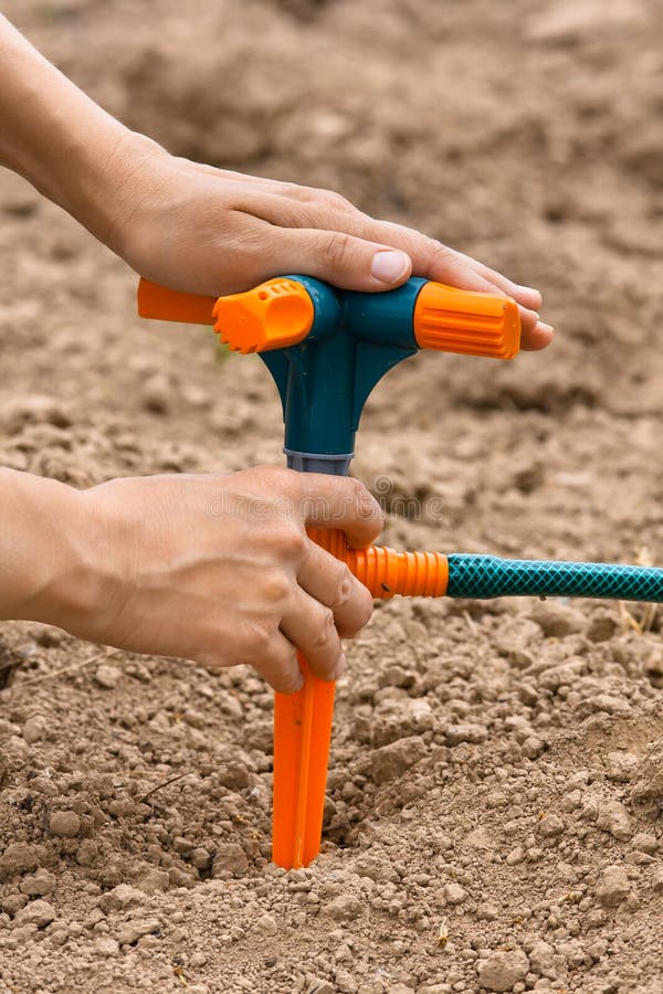 Hand With Sprinkler For Garden Irrigation Stock Photo - Image of ...