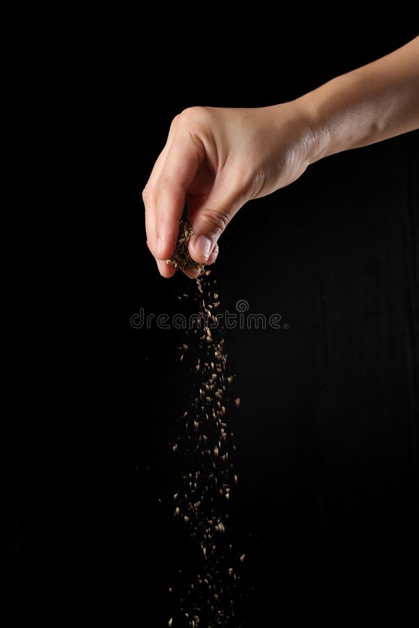 114 Sprinkling Seasoning Black Background Stock Photos - Free & Royalty ...