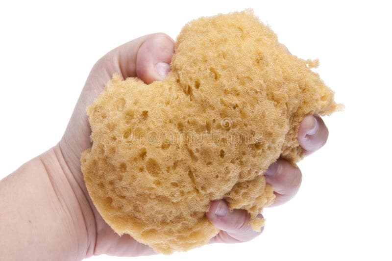 Hand Squeezing Sponge stock photo. Image of sponge, caucasian - 13660334