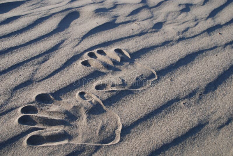 Hand Stamp On The Sand Picture. Image: 5263938