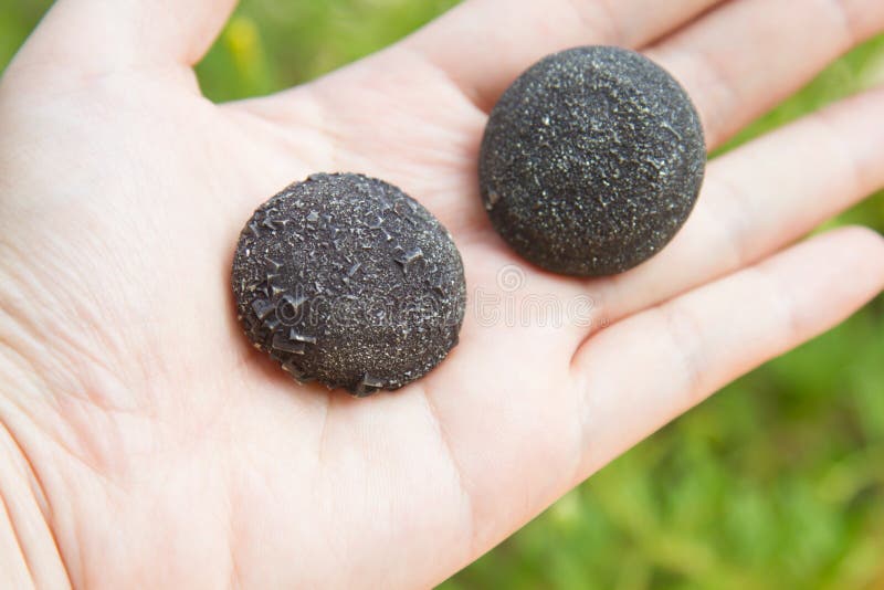 Hand on stones. stock image. Image of crystal, hand - 123714785