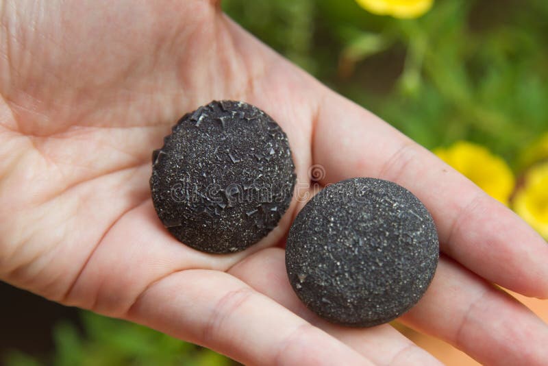 Hand on stones. stock image. Image of quartz, amber - 123714741