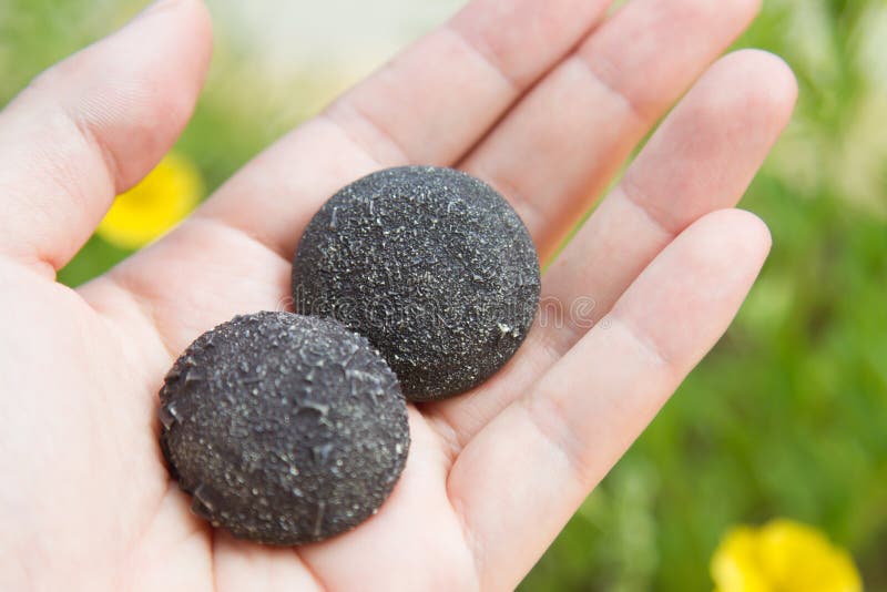 Hand on stones. stock photo. Image of natural, jewelry - 123714782