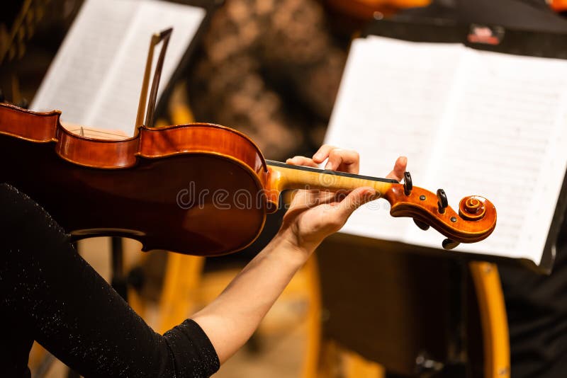 Hand on the Strings of a Violin Stock Image - Image of female, concert ...