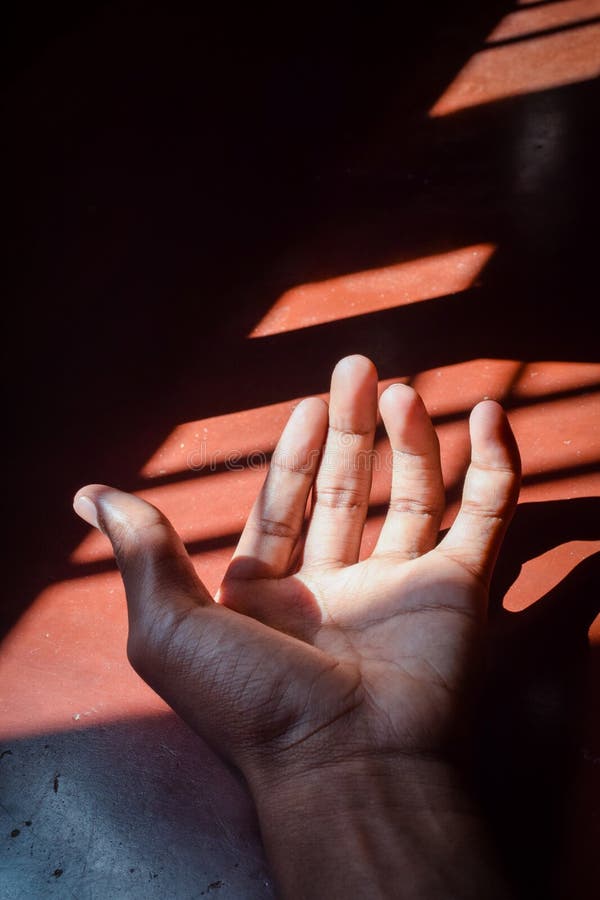 Hand on sunlight stock image. Image of brings, light - 274052785