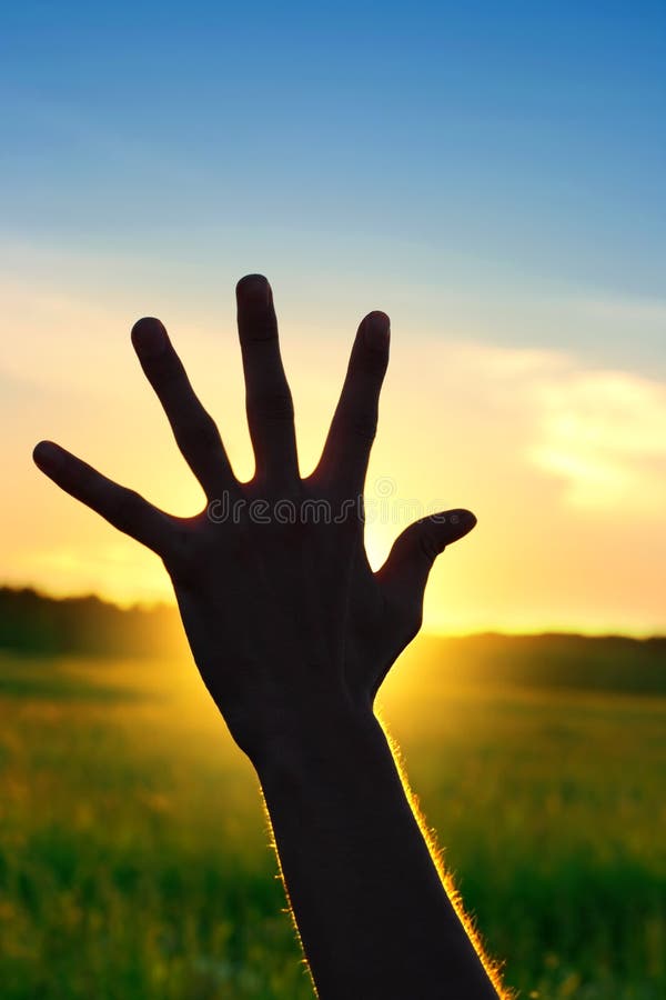 Hand on Sunset Background stock photo. Image of rear - 28946850
