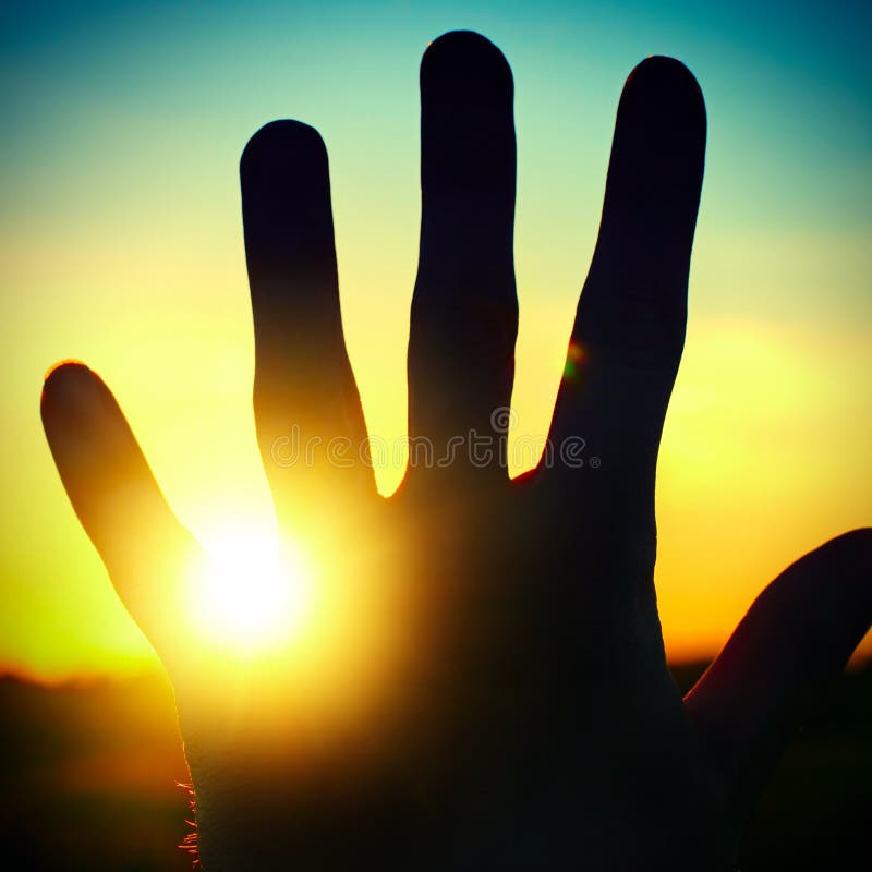 Hand on Sunset Background stock photo. Image of hand - 48842840