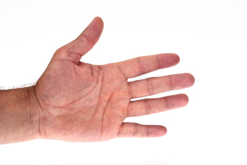 Hand symbol stock image. Image of hand, holding, greeting - 31894925