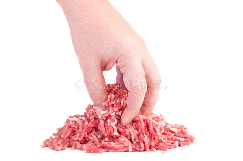 Hand take minced meat stock photo. Image of uncooked - 152222076