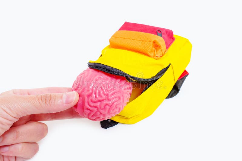 Hand Takes a Human Brain Model Out of a Tiny Backpack Stock Photo ...