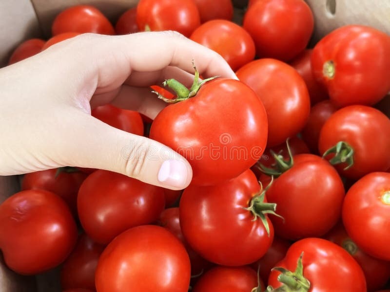 Hand Takes Popcorn from a Paper Box Stock Image - Image of stripes ...
