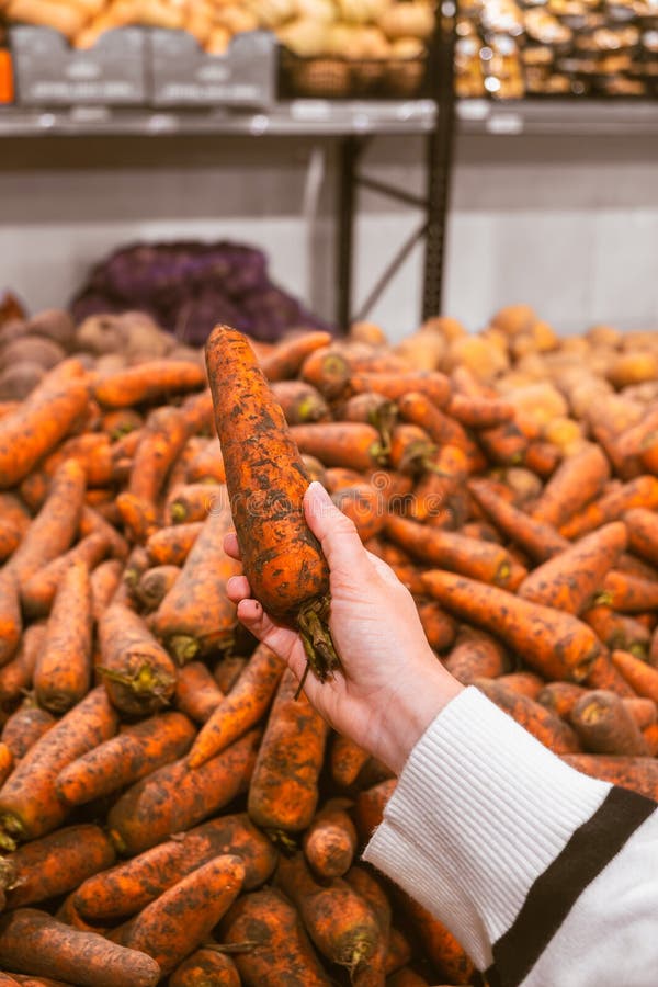 Hand Taking Carrot from Grocery Store Shelf Stock Photo - Image of ...