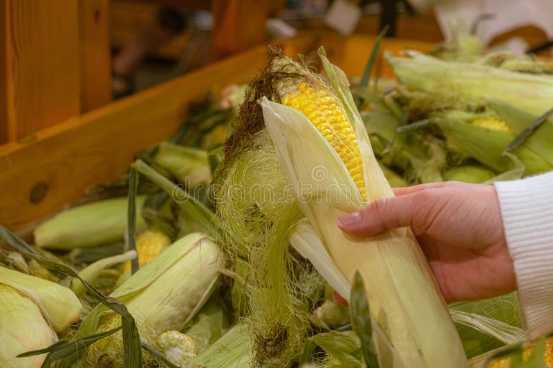 Hand Taking Corn from Grocery Store Shelf Stock Image - Image of hand ...