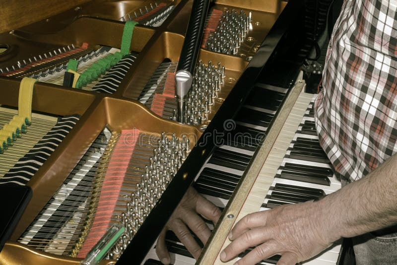 Hand tapping note stock image. Image of keyboard, tuning - 219983563