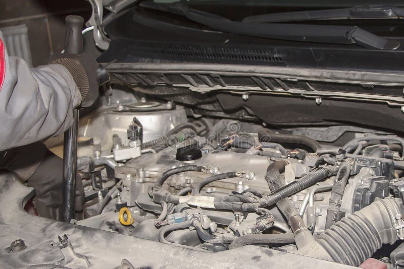 A Hand Technician Checking or Fixing the Engine of a Modern Car Stock ...