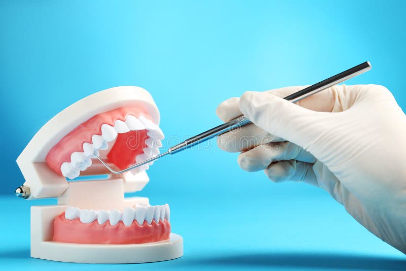 Hand with teeth model stock image. Image of medical - 109137473
