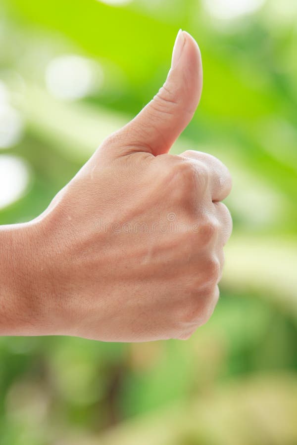 Hand with thumb up stock photo. Image of agreement, human - 31677900