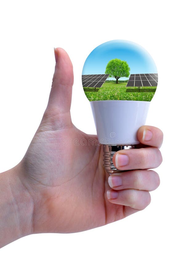 Hand Thumb Up Holding Eco Led Bulb Solar Panel Stock Photos - Free ...