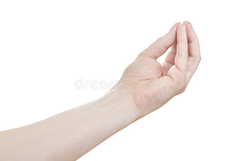 Hand To Hold Something, Isolated on White Close Up Stock Image - Image ...