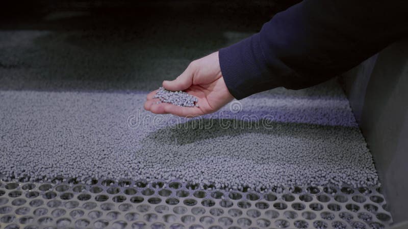 Hand Touches the Microplastic Granules from the Extruder. Plastic or ...
