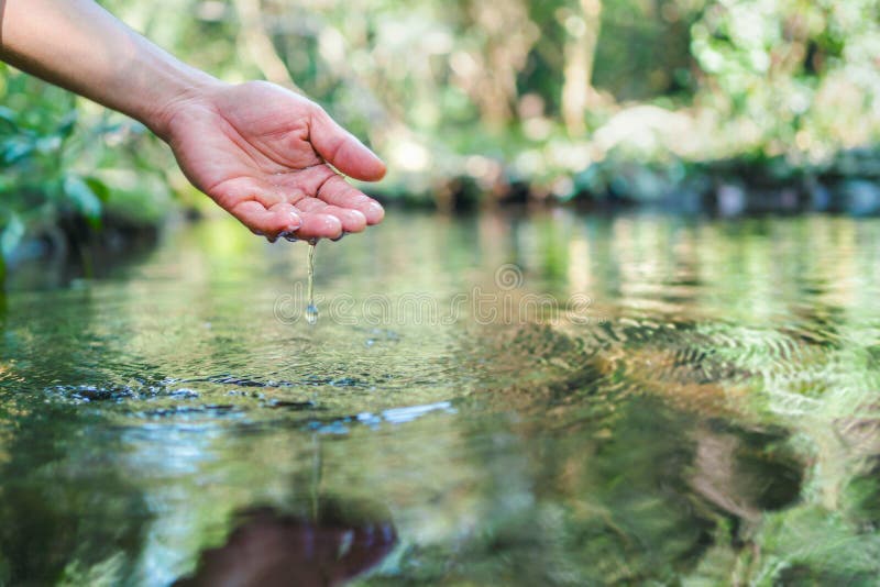 Hand Touches Water in the Pond Stock Photo - Image of flowing, drop ...