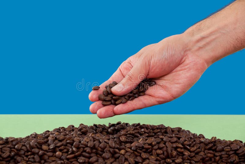 Hand touching coffee beans stock photo. Image of energy - 63475578