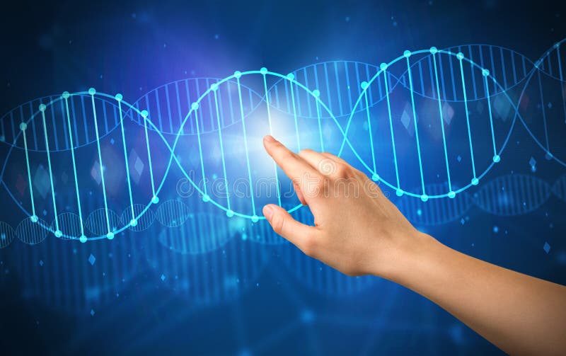 Hand touching DNA molecule stock image. Image of biology - 103937277
