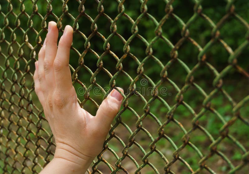 Hand Touching a Metal Grille Stock Photo - Image of grate, grille: 97193812