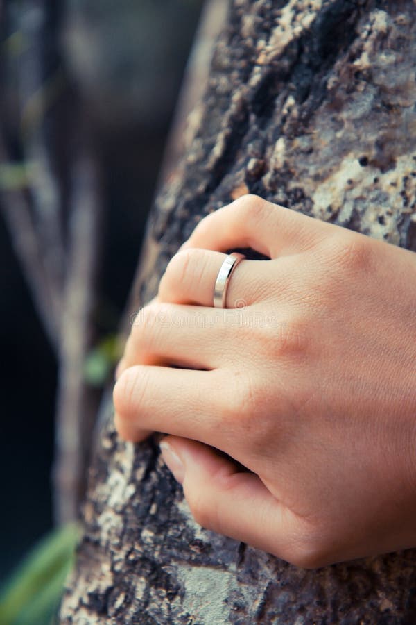 Hand touching tree stock photo. Image of beauty, copy - 49517726