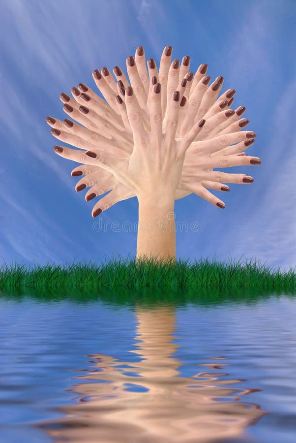 Hand tree stock photo. Image of motion, delicate, valentine - 11522720