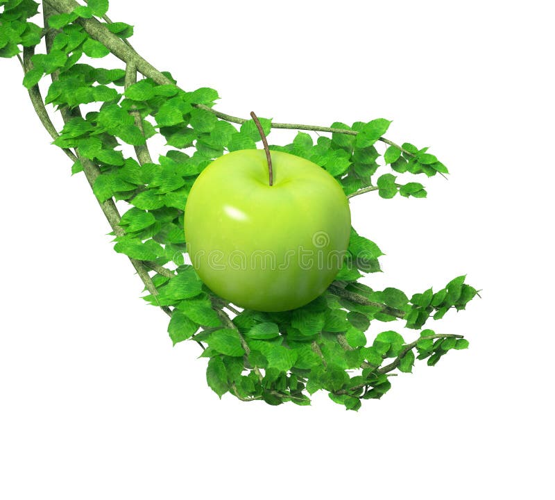 Hand - tree stock image. Image of hand, ecology, apple - 23605121