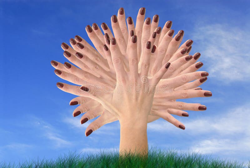 Hand tree stock photo. Image of clouds, blue, hand, pray - 7688626