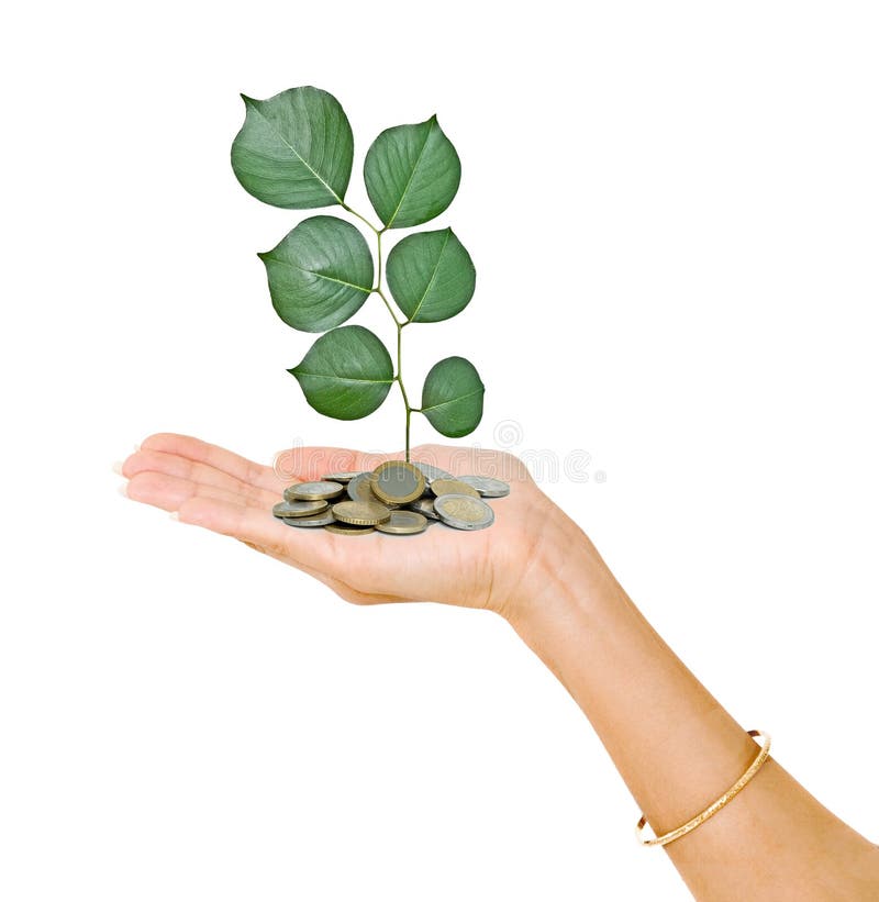 Hand Coin Tree the Tree Grows on the Pile. Saving Money for the Future ...