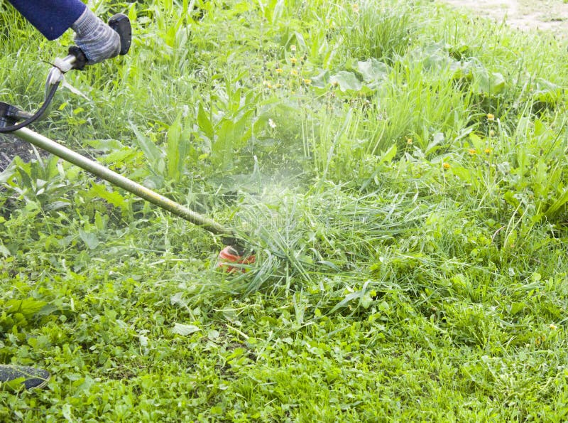 Hand Trimmer Mows the Grass Stock Image - Image of green, male: 163732077