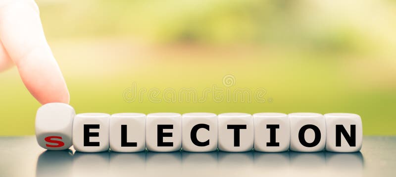 Hand Turns a Dice and Changes the Word `selection` To `election`. Stock ...