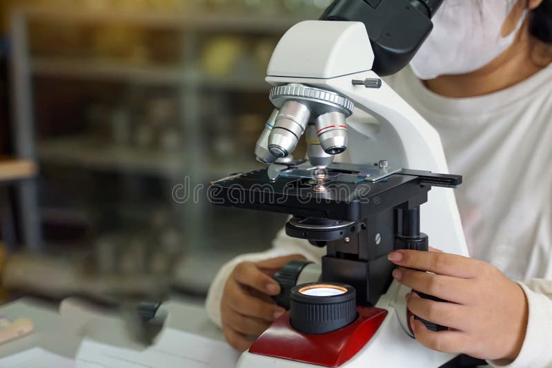 Hand Turns the Microscope S Fine Focus Adjustment Knob To Increase the ...