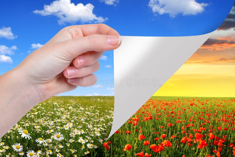 Hand Turns a Sheet of Paper Stock Image - Image of plain, marguerite ...