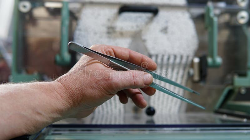 The Hand with a Tweezers in Laboratory Stock Photo - Image of medical ...
