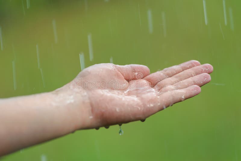 Catching Rain Hand Stock Photos - Download 422 Royalty Free Photos