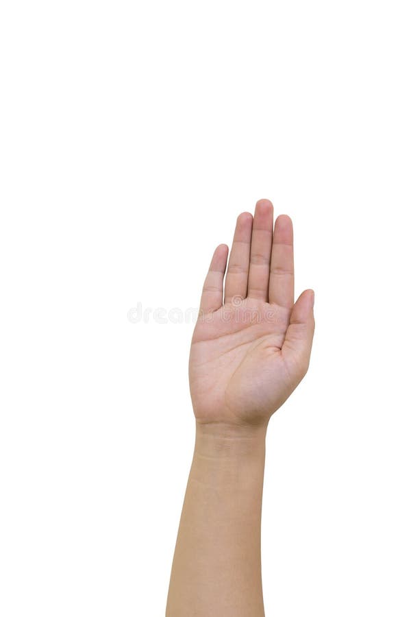 Hand up isolated. stock photo. Image of finger, gesture - 122477756