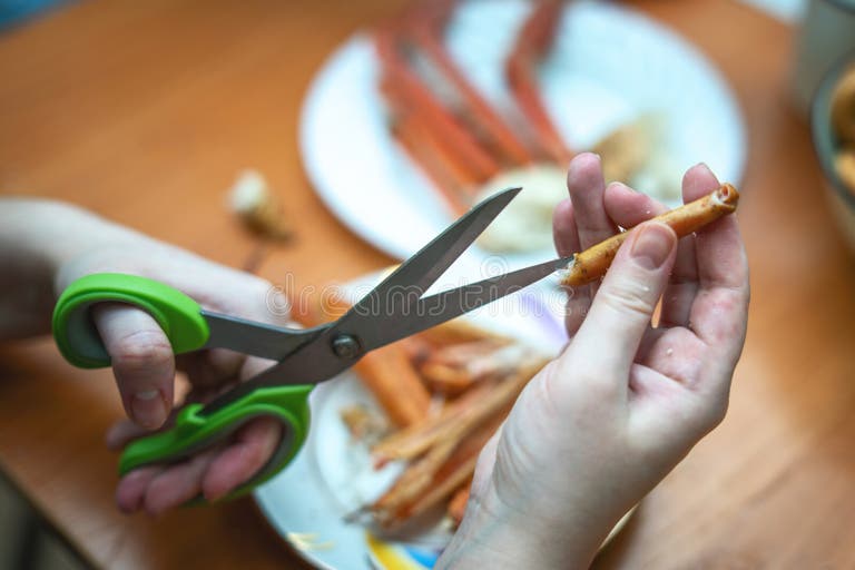 Hand Using Scissors To Cut a Segment of a Cooked Crabs Limb To Extract ...