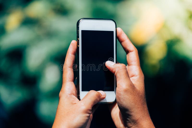Hand using smartphone stock photo. Image of technology - 86701218