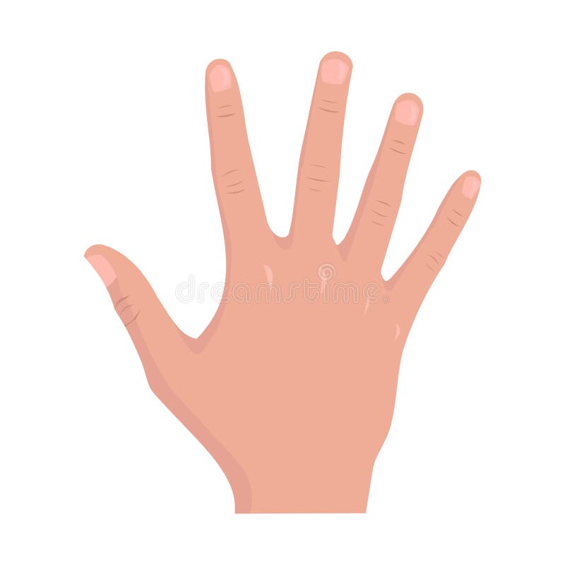 Hand vector Human organs stock vector. Illustration of asset - 245257113