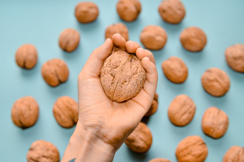 Hand with Walnuts on Grey Background As Pattern, Flat Lay with Copy ...