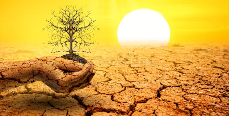 The Hand Was Holding the Remains of a Dead Tree in the Extremely Barren ...