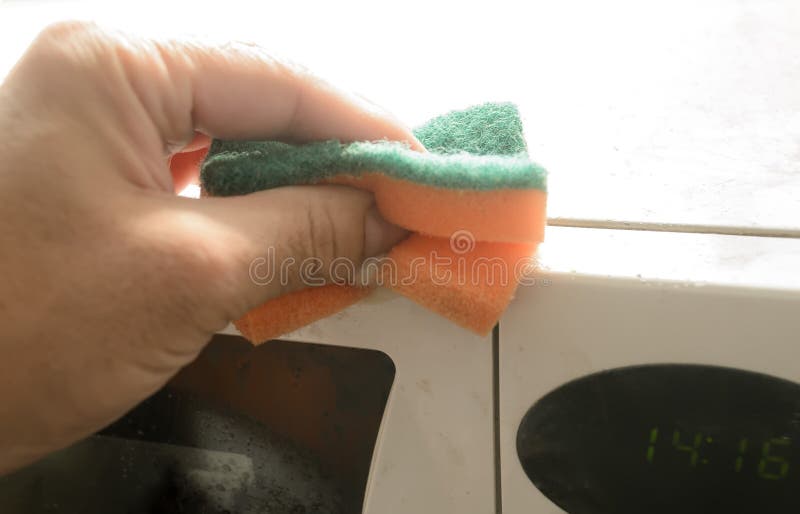 Hand Washes the Top Surface of the Microwave Oven with a Damp Sponge ...