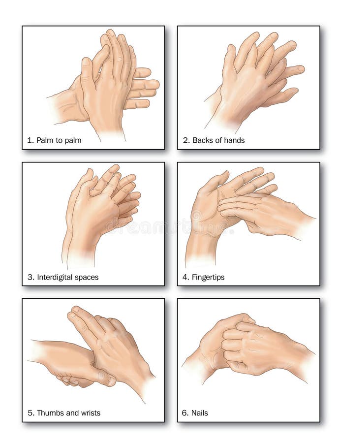 Interdigital Stock Illustrations – 12 Interdigital Stock Illustrations ...