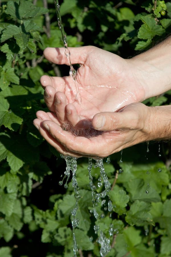 Hand Washing in the Summer of Clean Water Stock Photo - Image of cool ...