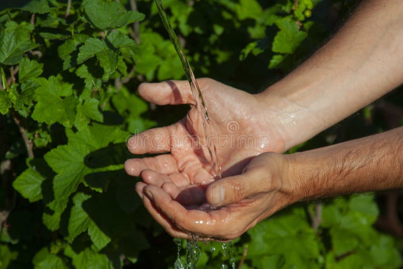Hand Washing in the Summer of Clean Water Stock Image - Image of clean ...