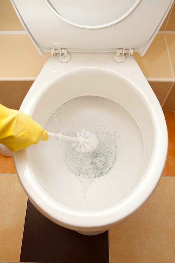 Hand washing the toilet stock photo. Image of wash, washing - 11077950